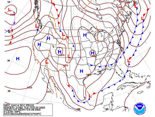 Savannah: Record warmth and high pollen counts in the forecast
