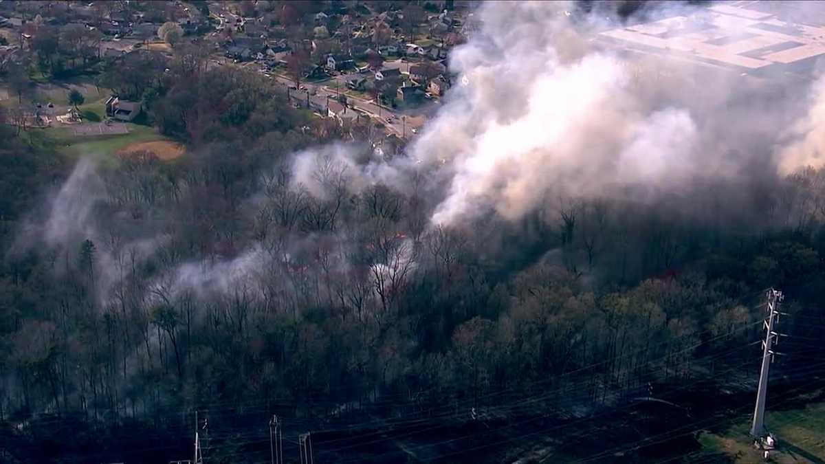 Firefighters battle 2-alarm brush fire in Adelphi Park