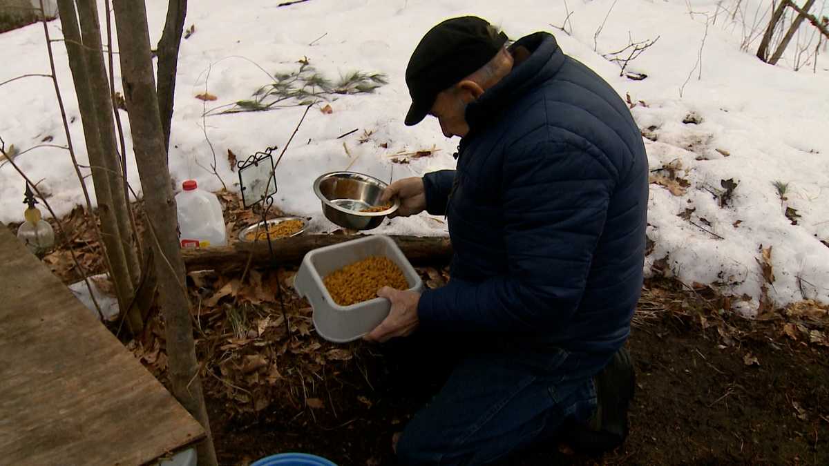NH Chronicle: Concord's Cat Man