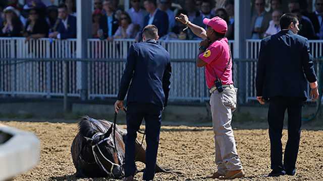 Horse dies after collapsing after race on Black-Eyed Susan Day
