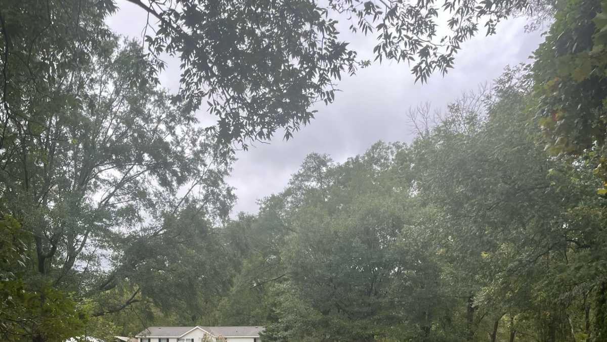 South Carolina: Federal disaster assistance after Helene
