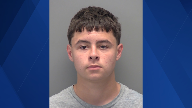 Cape Coral teen accused of multiple vehicle thefts and burglaries