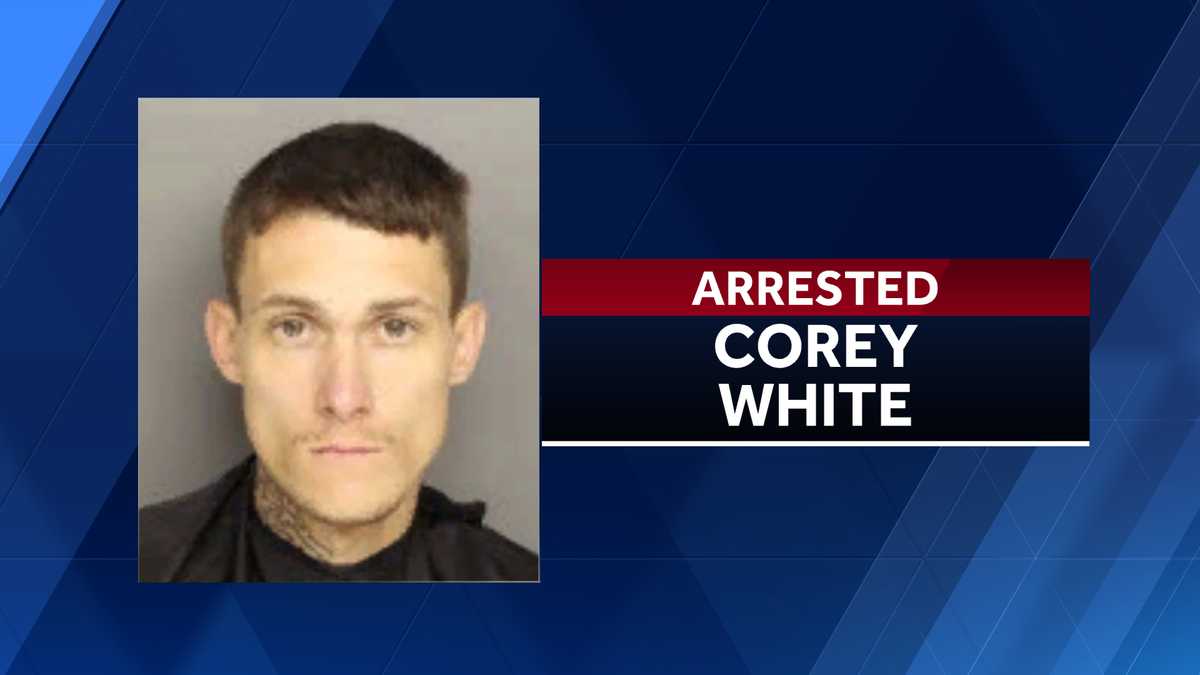 Car stolen at gunpoint at Upstate Home Depot