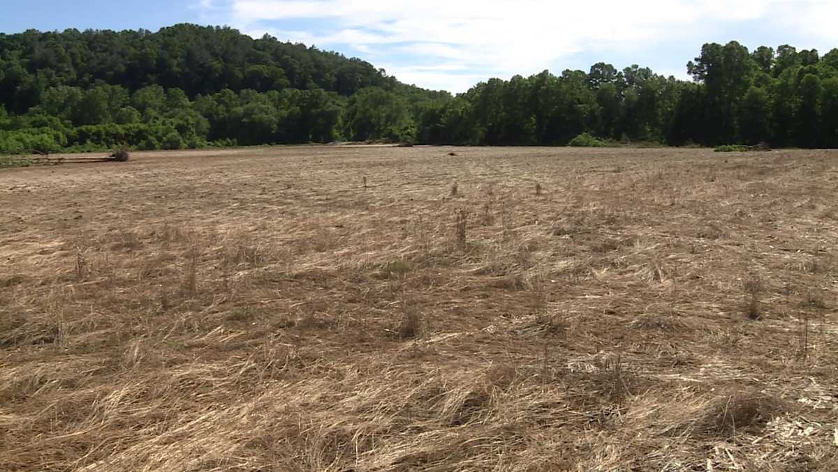 Local farmer uncertain of farm's future after heavy rains wash away crops