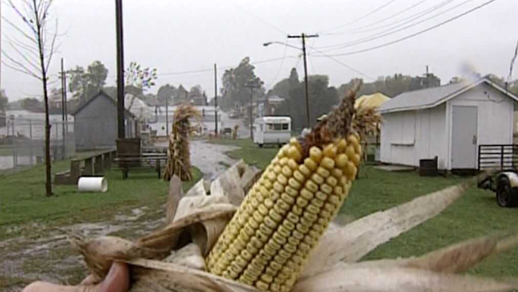 Flashback Friday: 1997 Iowa corn husking contest cancelled
