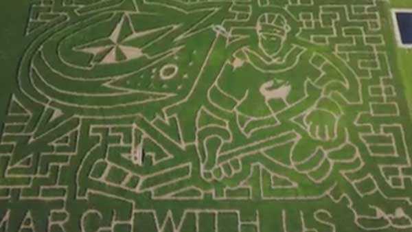This massive corn maze in an Ohio sports fan’s dream