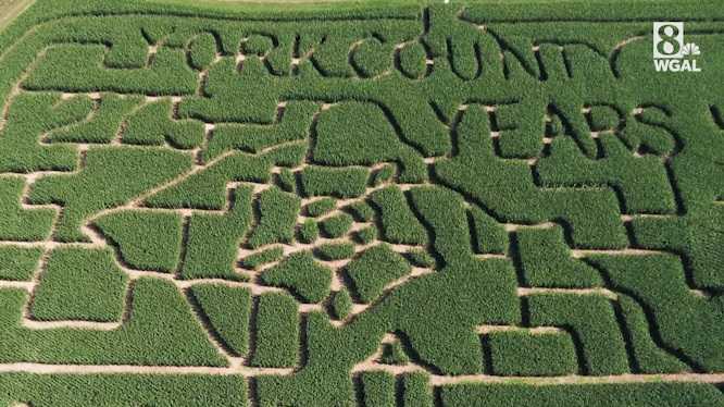 2 Pennsylvania corn mazes are in a 'Battle of the Roses'