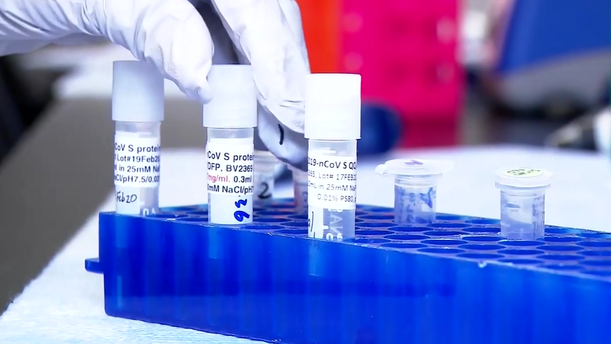 Harvard researchers study variations in COVID-19 genome to predict severity