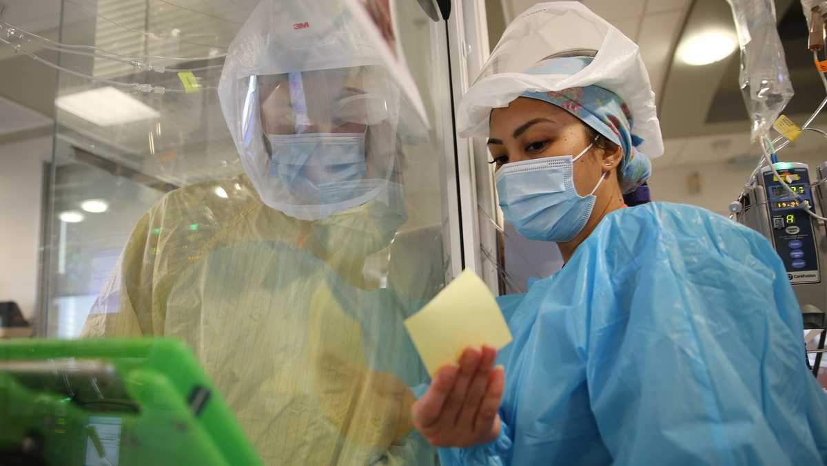 White House coronavirus task force warns of surging cases in more ...