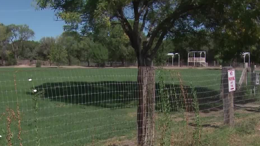 Mosquito outbreak takes over Corrales park