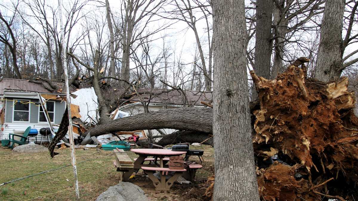 Severe storms take down trees, drop hail across much of South-Central Pa.