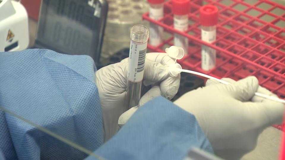 Which COVID-19 test is right for you?