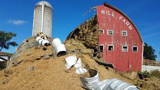 Cow euthanized, 13 others trapped, after silo collapse