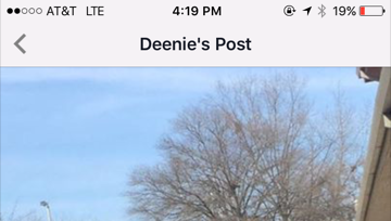 Loose cow captured after roaming downtown Jackson