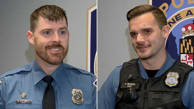 Anne Arundel County police rescue owl after car crash