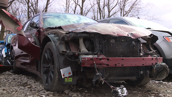 Security footage shows East End thieves causing chaos at salvage yard ...