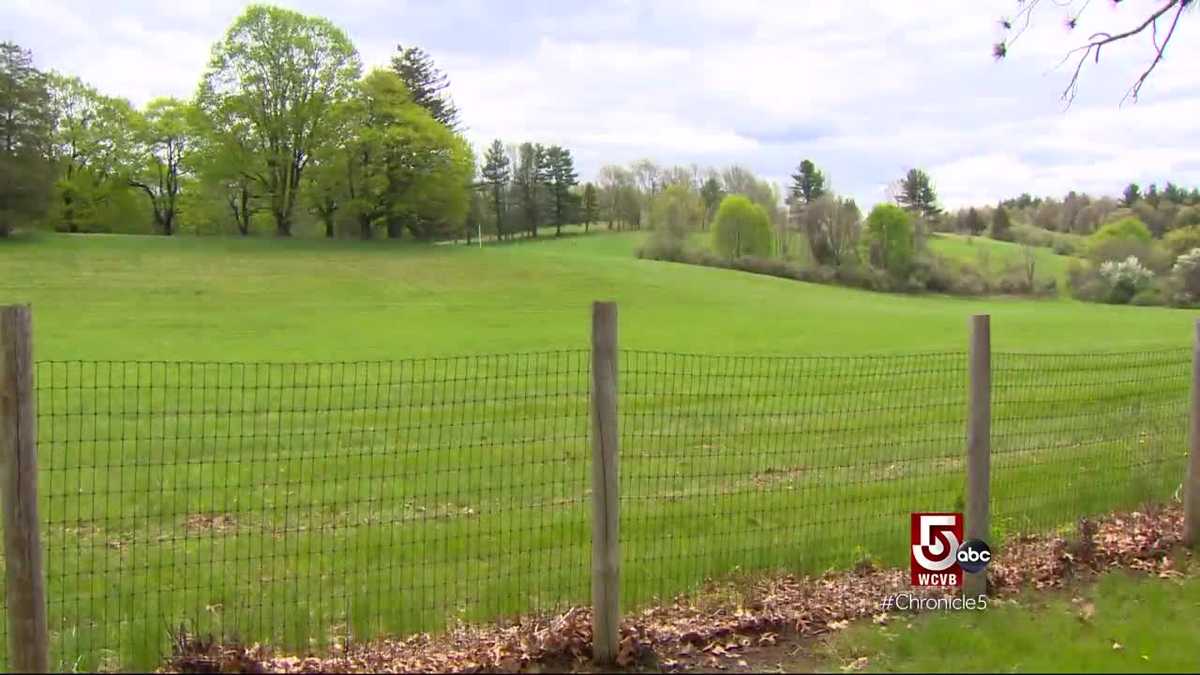 Creature Features: Drumlin Farm