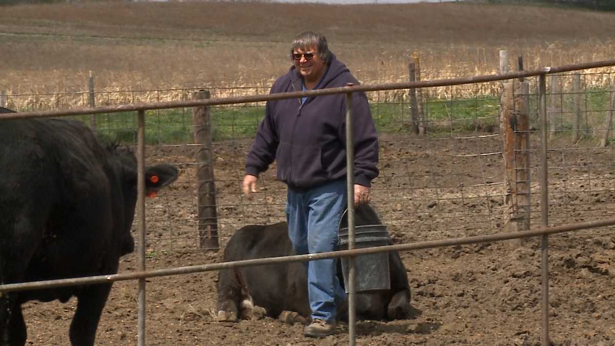 Consumers seek direct cattle connection in unstable beef market
