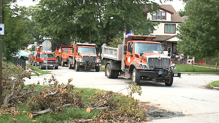 City starts storm clean up on boulevards where residents pushed tree debris