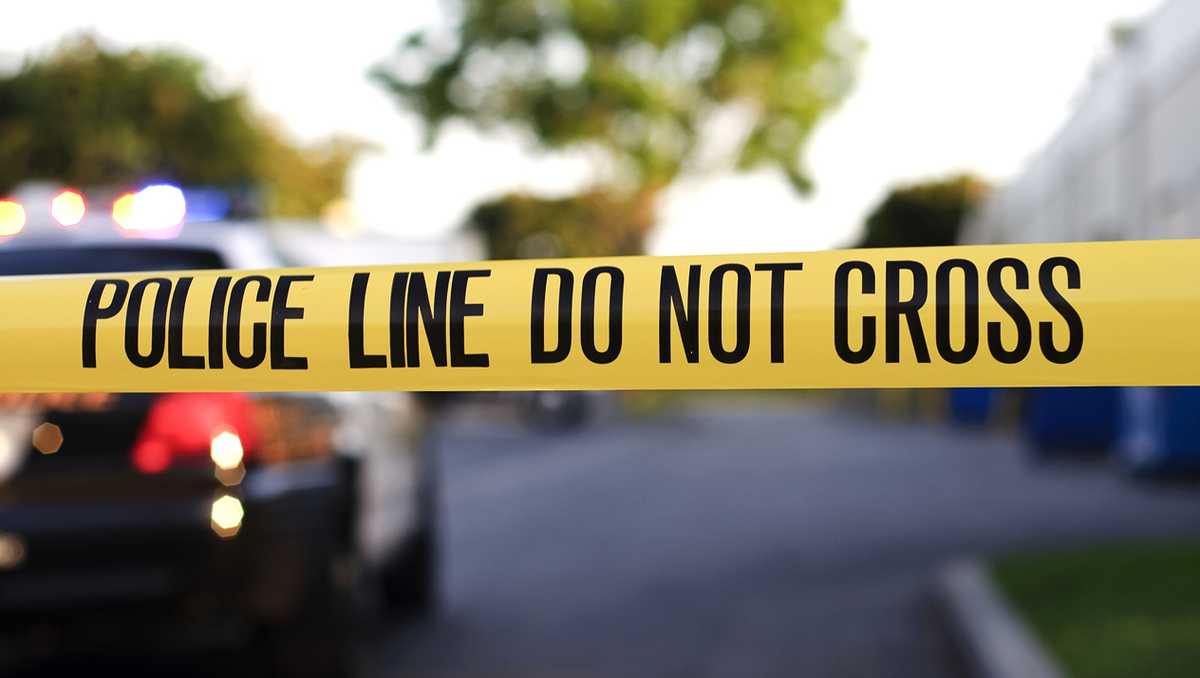 South Carolina: 5 dead, including 3 children, after shooting