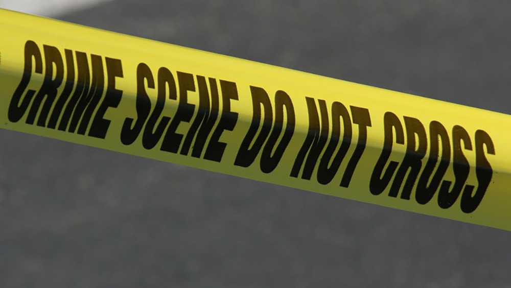 Skeletal remains of woman found in Spartanburg County - WYFF