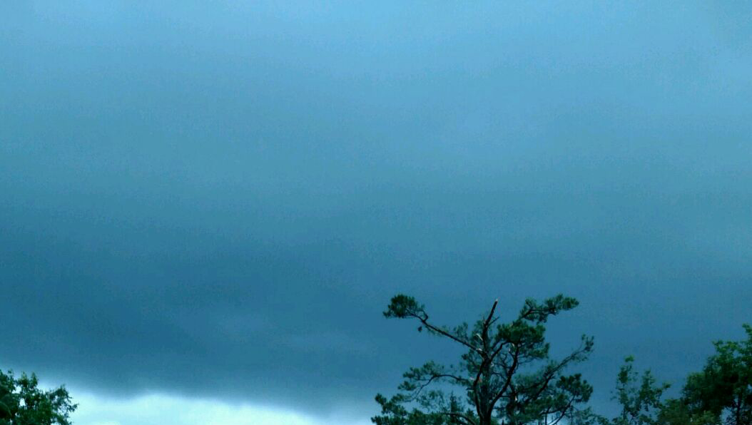 PHOTOS: Tornado damage in Cullman County