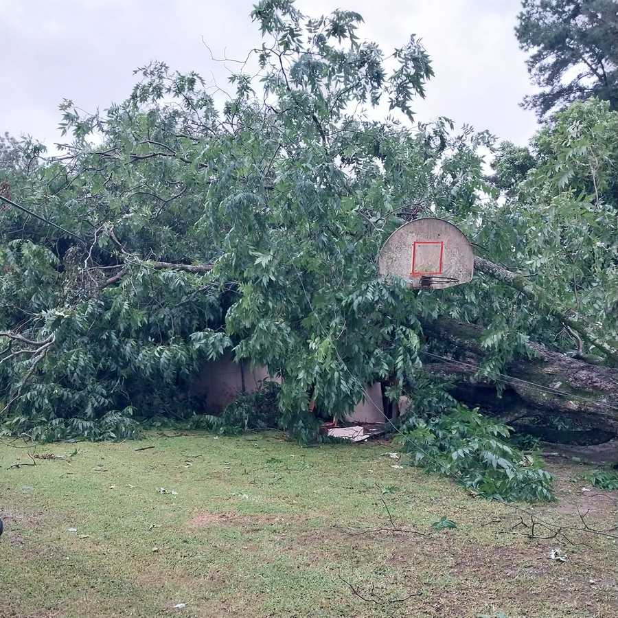 Severe storms leave trail of damages across Alabama