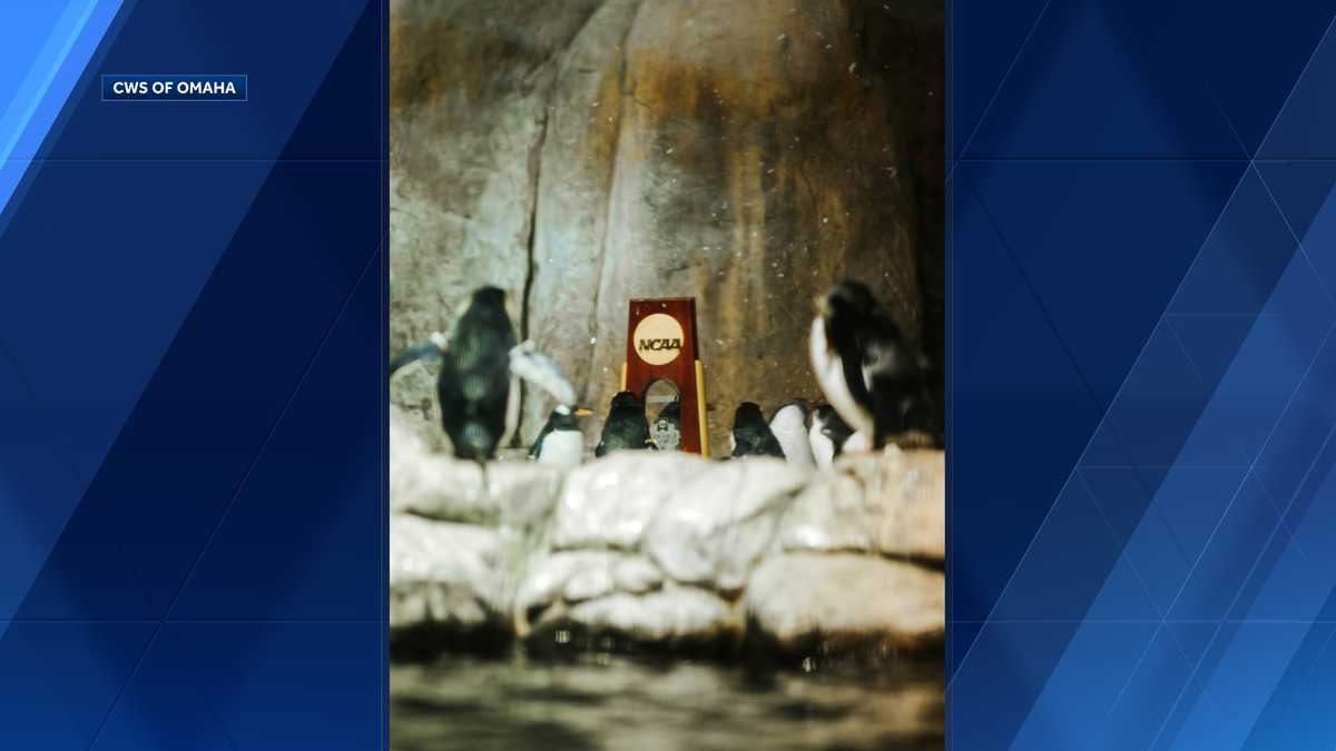NCAA baseball championship trophy at Henry Doorly Zoo