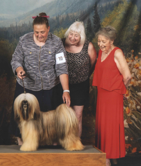 How many Vermont dogs competed in the National Dog Show?