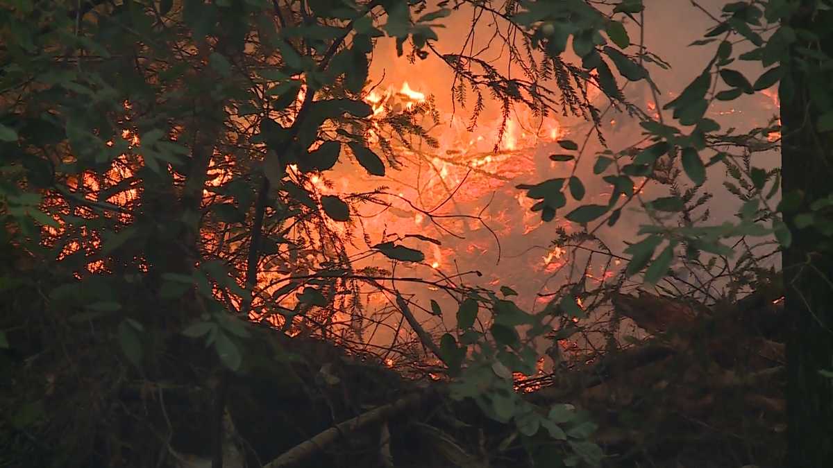 Hundreds of evacuees from CZU Lightning Complex forced to stay in shelters