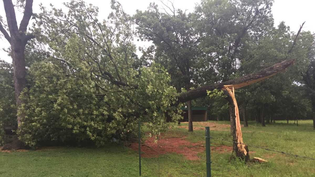 Gallery: Viewers share pictures of hail, damage caused by Thursday's ...