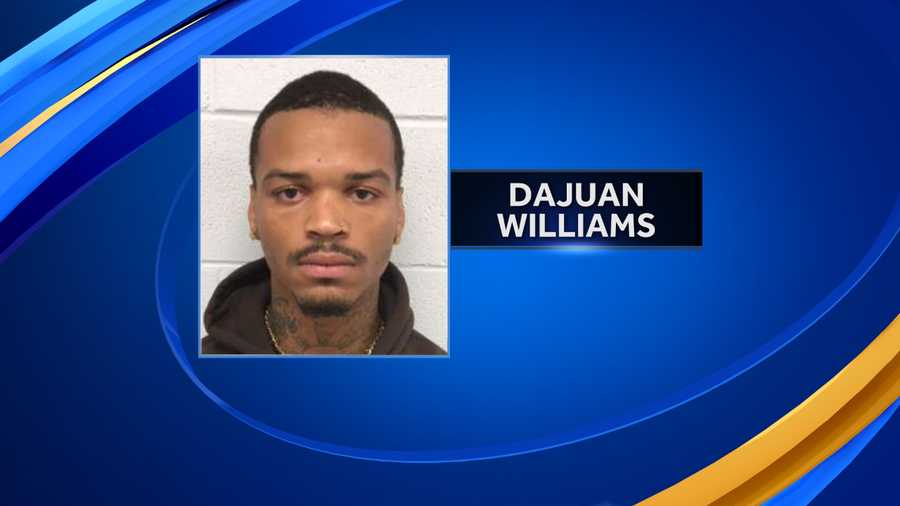 Michigan man pleads guilty to charges connected to traffic stop