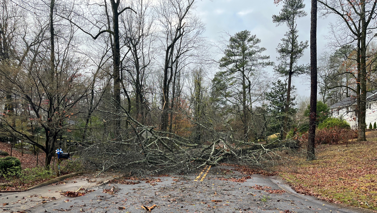 Severe storms cause damages across Alabama