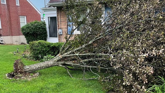 Storm causes widespread damage in Greater Cincinnati Monday