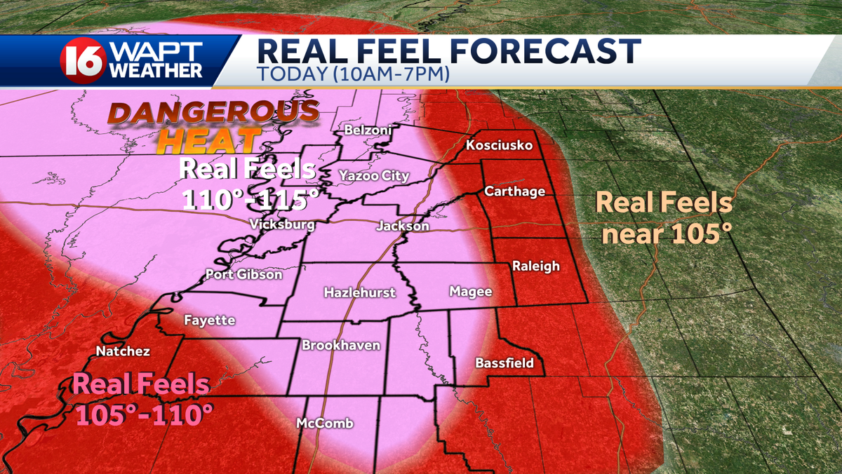 Dangerous heat: tips and tricks for you, your pet, and your AC