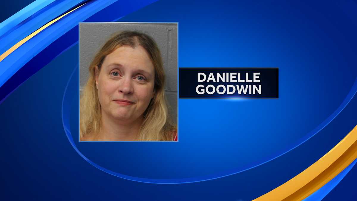 Head of Hanover-based charity arrested