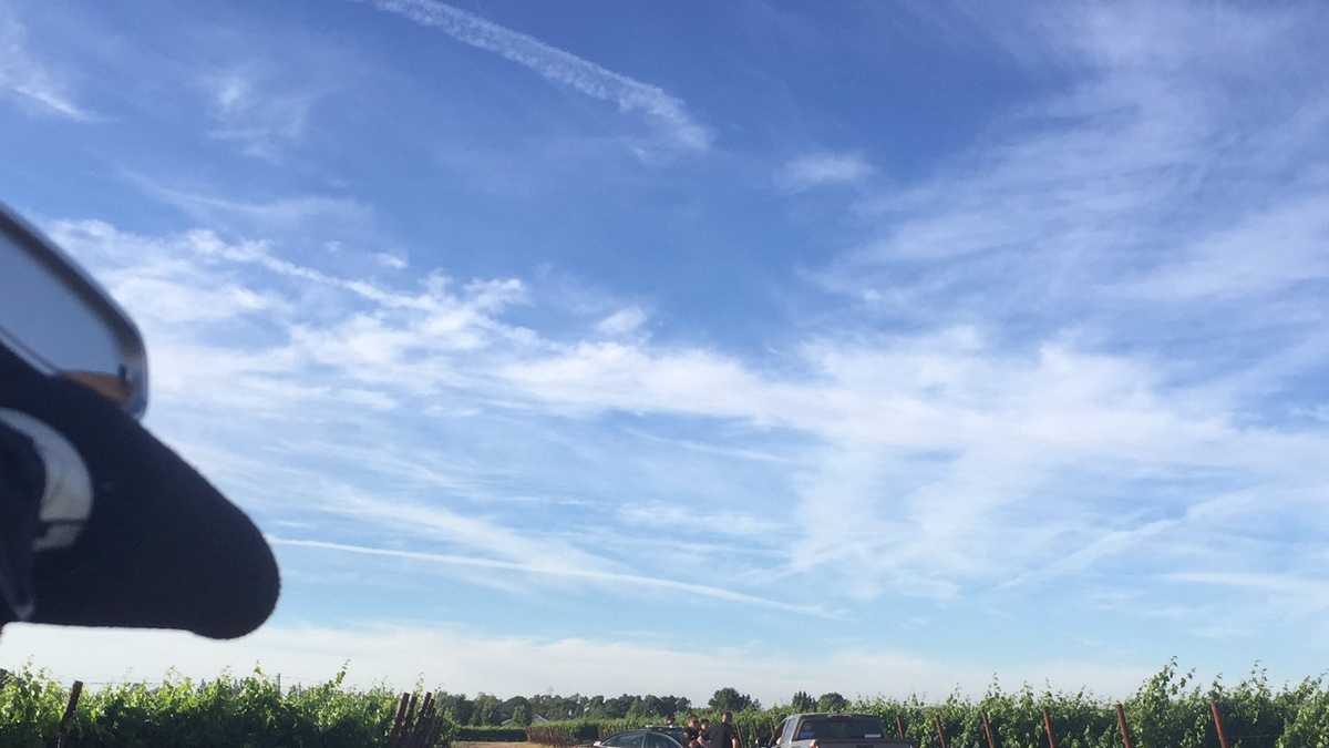 Lodi Parachute Center attributes death to skydiver's error