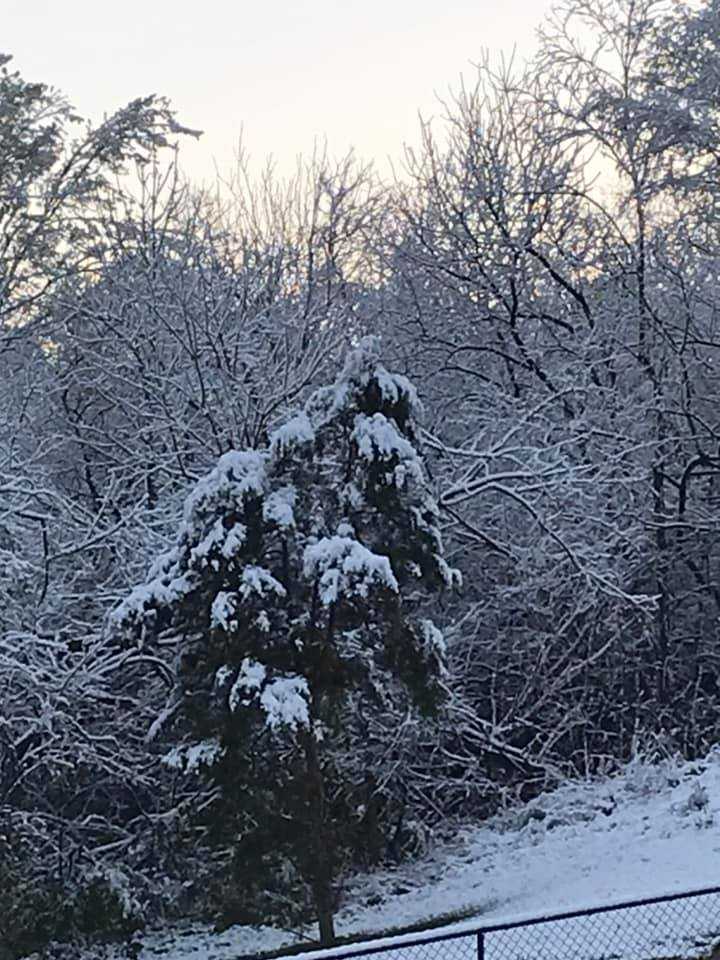 PHOTOS: Record-setting spring snow blankets the Louisville area