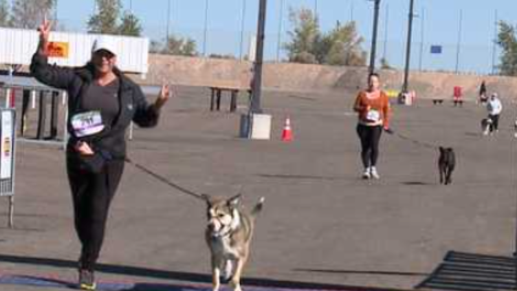 40th Doggie Dash is in-pooch and in-person again