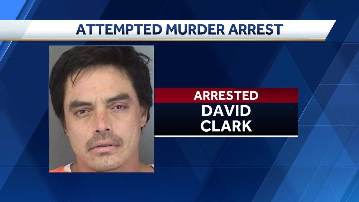 Man pleads guilty to manslaughter in death of Bellevue woman