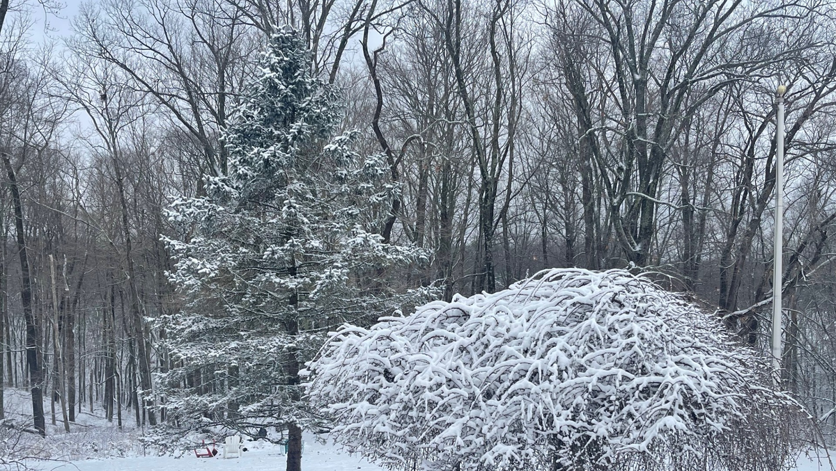 PHOTOS: Heavy snow falls across Greater Cincinnati