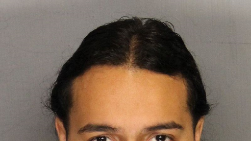 Faces of 23 alleged Stockton gang members