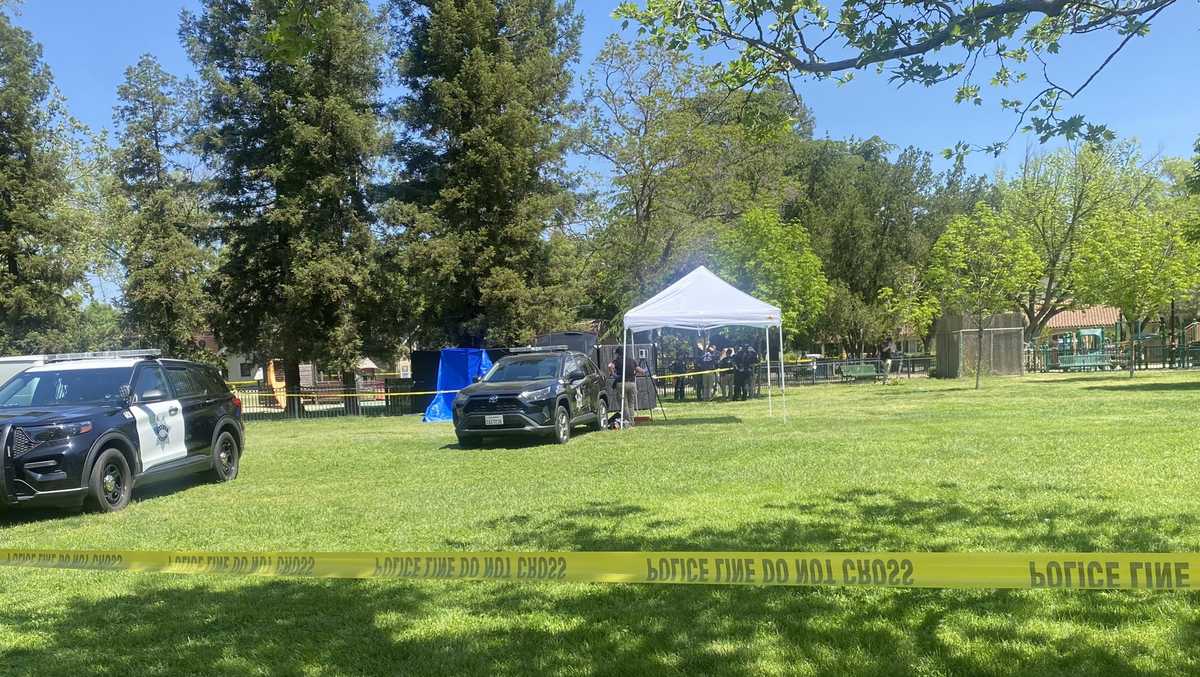 Encuentran hombre sin vida en parque de Davis