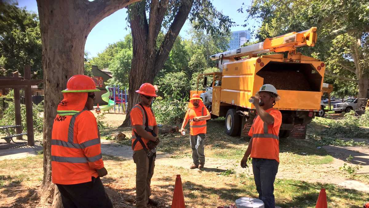 What employers must do to keep outdoor workers safe