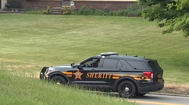 146 dead dogs found inside animal rescue founder's home in Ohio