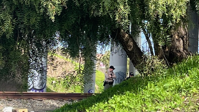 Body found burned 'beyond recognition' in 'suspicious' California