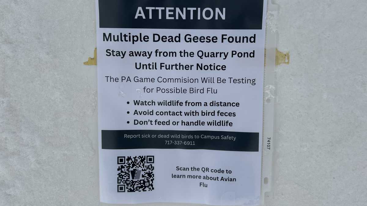 Gettysburg College pond closed after multiple dead geese are found