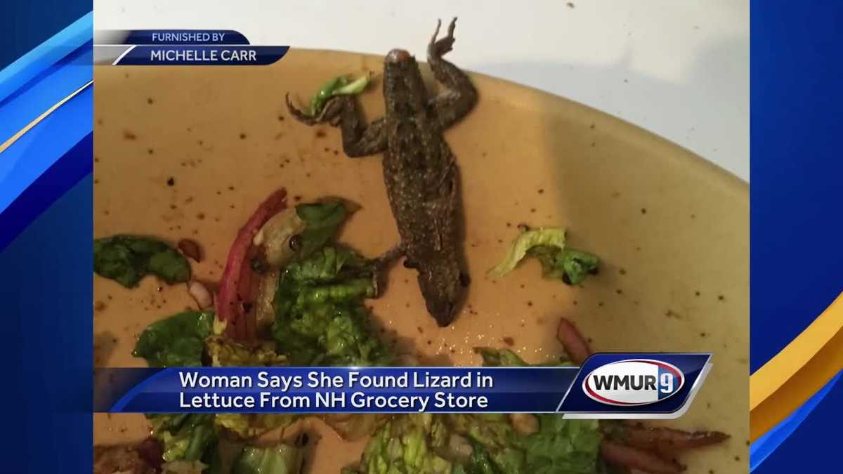 Woman says she found dead lizard in lettuce purchased at NH grocery store