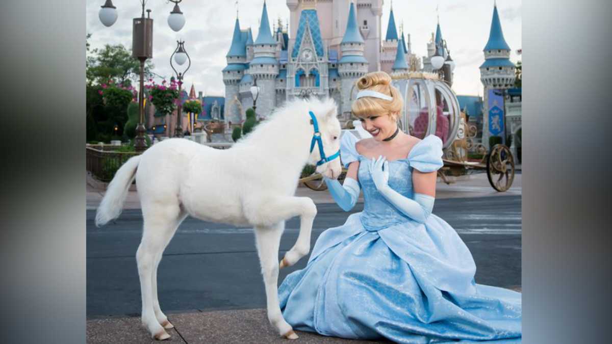 Meet Lilly! Disney’s newest ‘Cinderella" pony