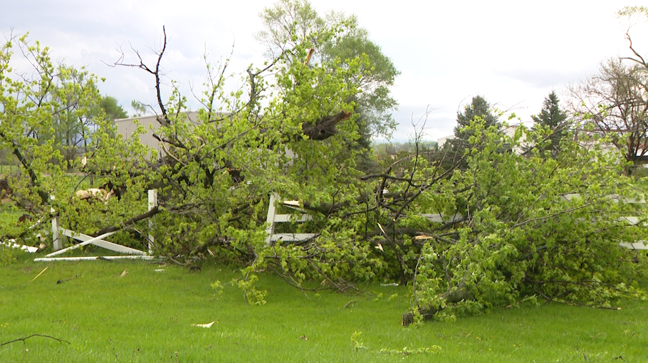Douglas County homeowners urged to use debris drop-off location